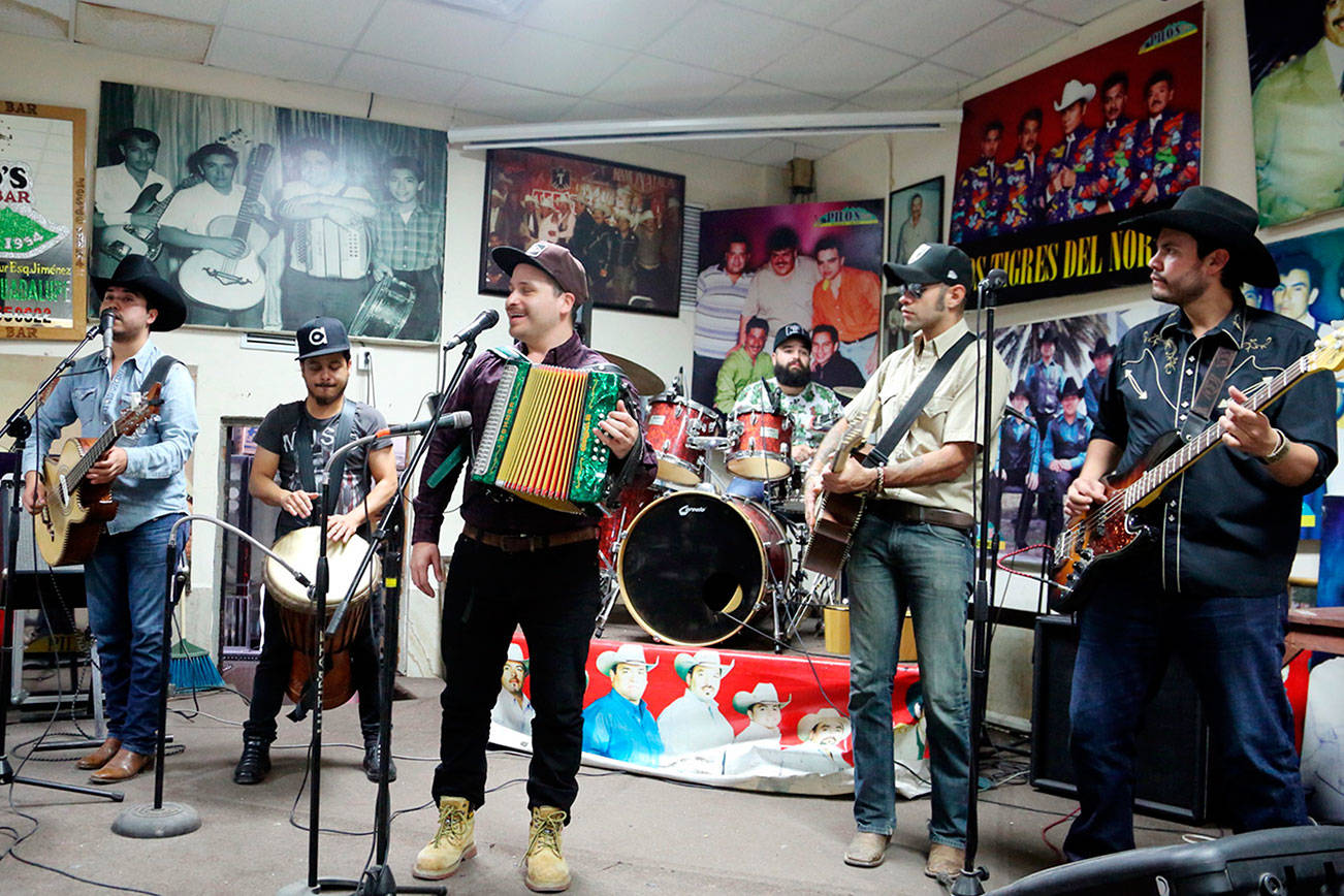 Va a ‘berrear’ banda Becerros con otro grupo | La Raza del Noroeste